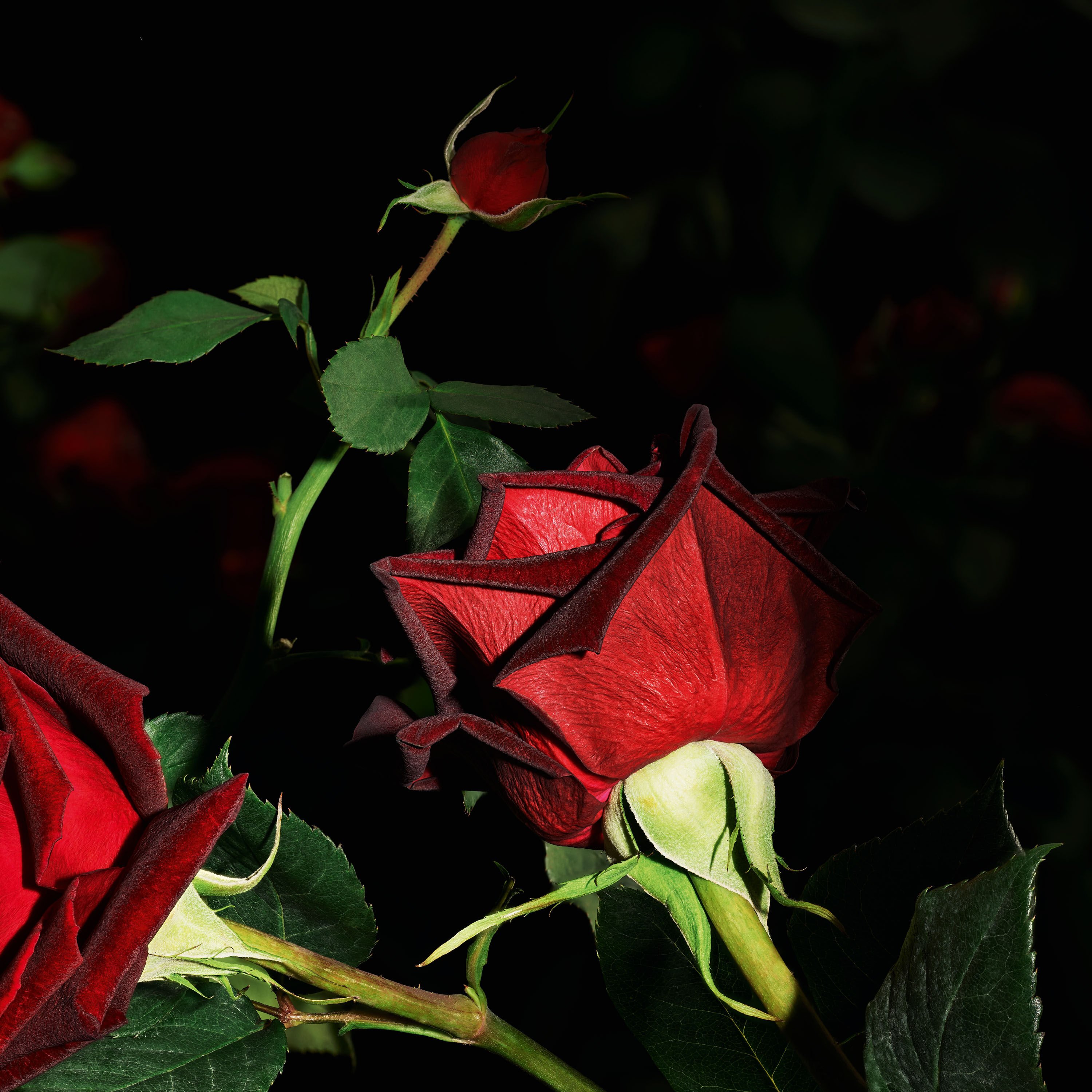 Velours Unisex Le Vestiaire Des Parfums — YSL Beauty