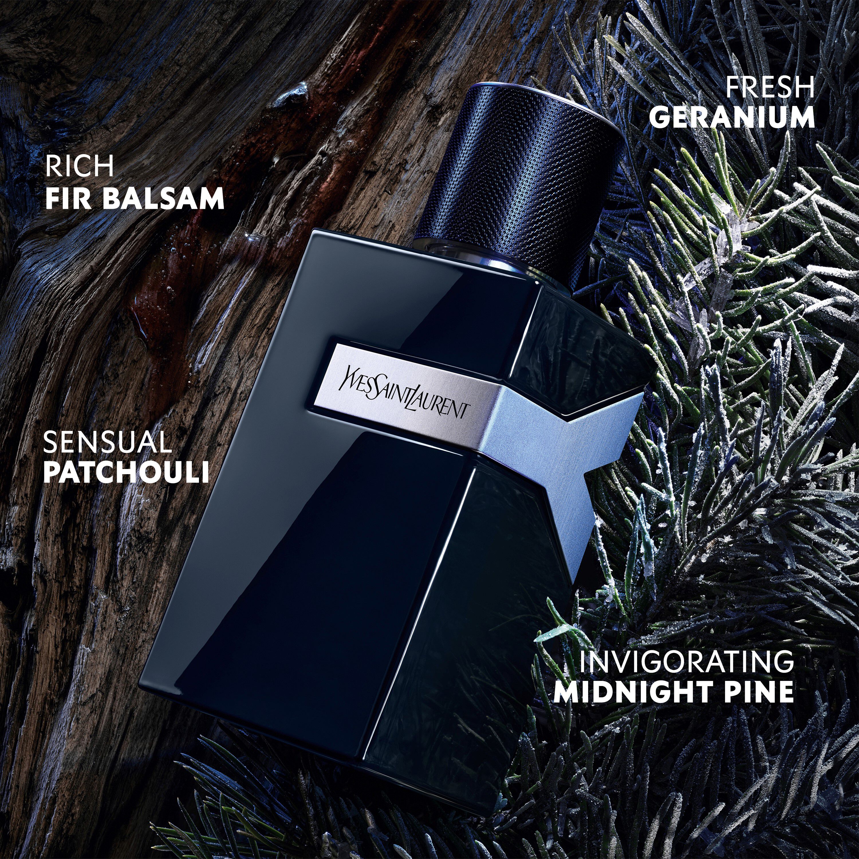 Y Le Parfum – Men’s Fresh Woody Ambery Pine Fragrance – YSL Beauty