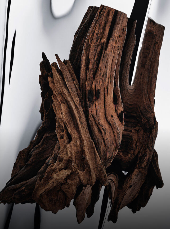 MYSLF Absolu - Men's Intense Ginger Fragrance - YSL Beauty