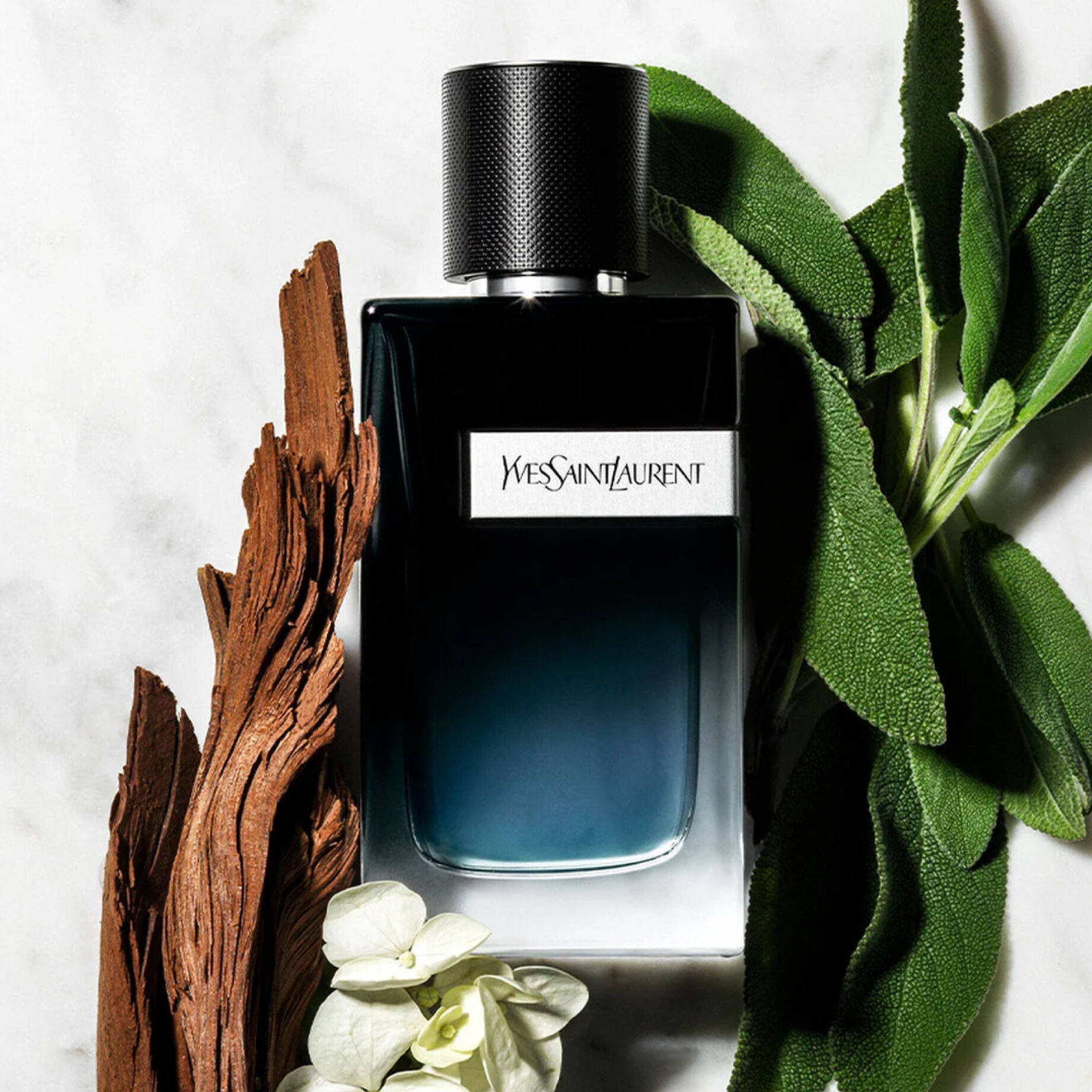 Perfume, Cologne, and Fragrance for Men & Women - YSL Beauty