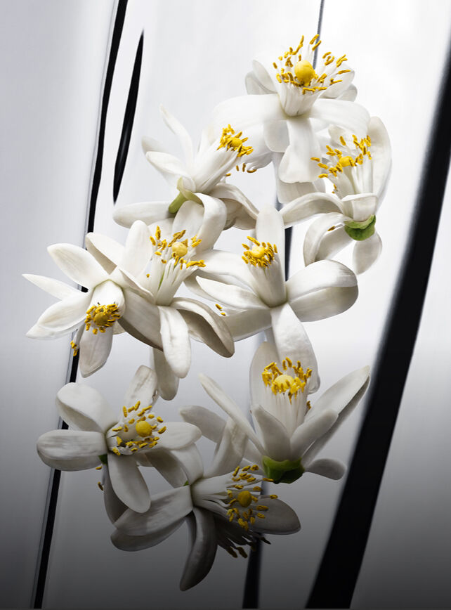 MYSLF Absolu - Men's Intense Ginger Fragrance - YSL Beauty