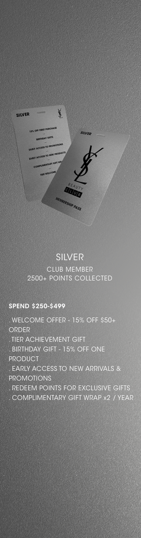 YSL Ultimate Beauty Club — Members-Only Experience — YSL Beauty