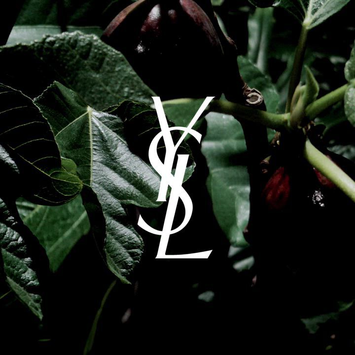 Lavallière - Unisex Rose Floral Fruity Fragrance - YSL Beauty